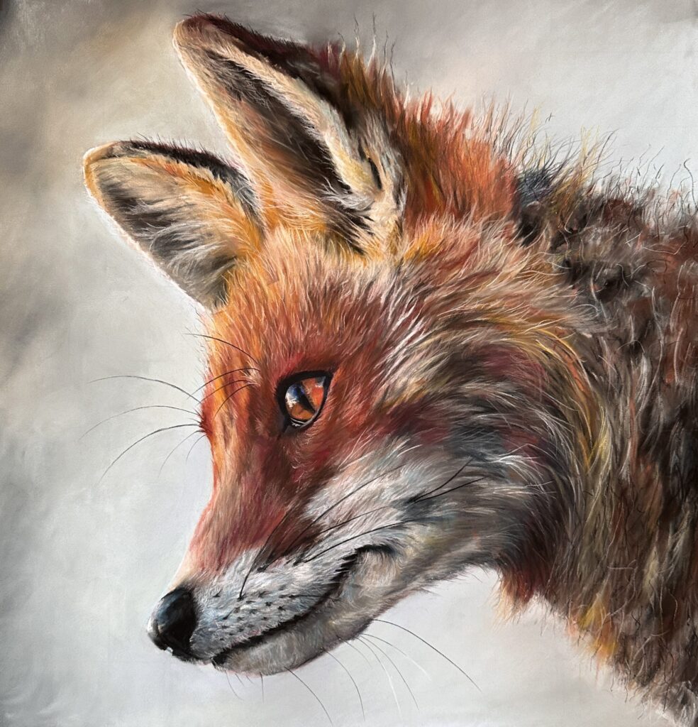 Fluffy Fox - Original Pastel Artwork - Vicki Davidson Artist